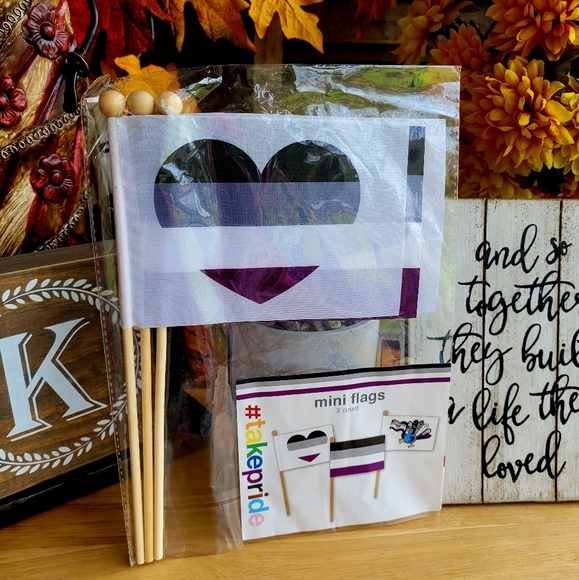 Target | Accents | Take Pride Asexual Pride Flags | Poshmark